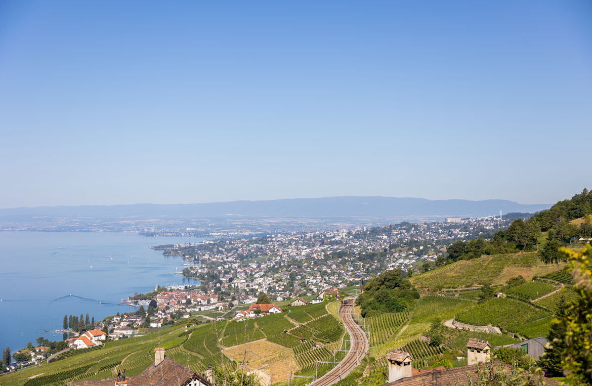 Balade À Lavaux ; Entre Grandvaux et Épesses - La Route de Ben