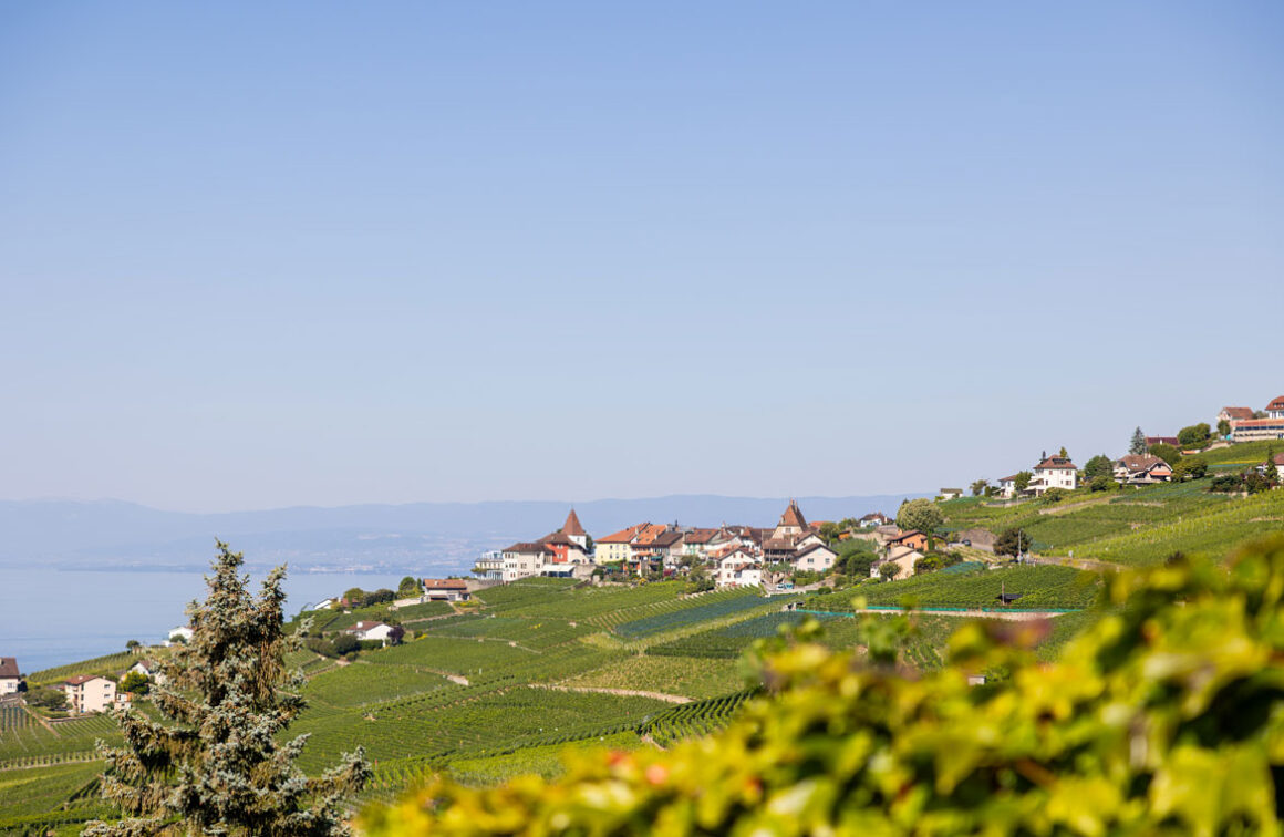 Balade À Lavaux ; Entre Grandvaux et Épesses - La Route de Ben