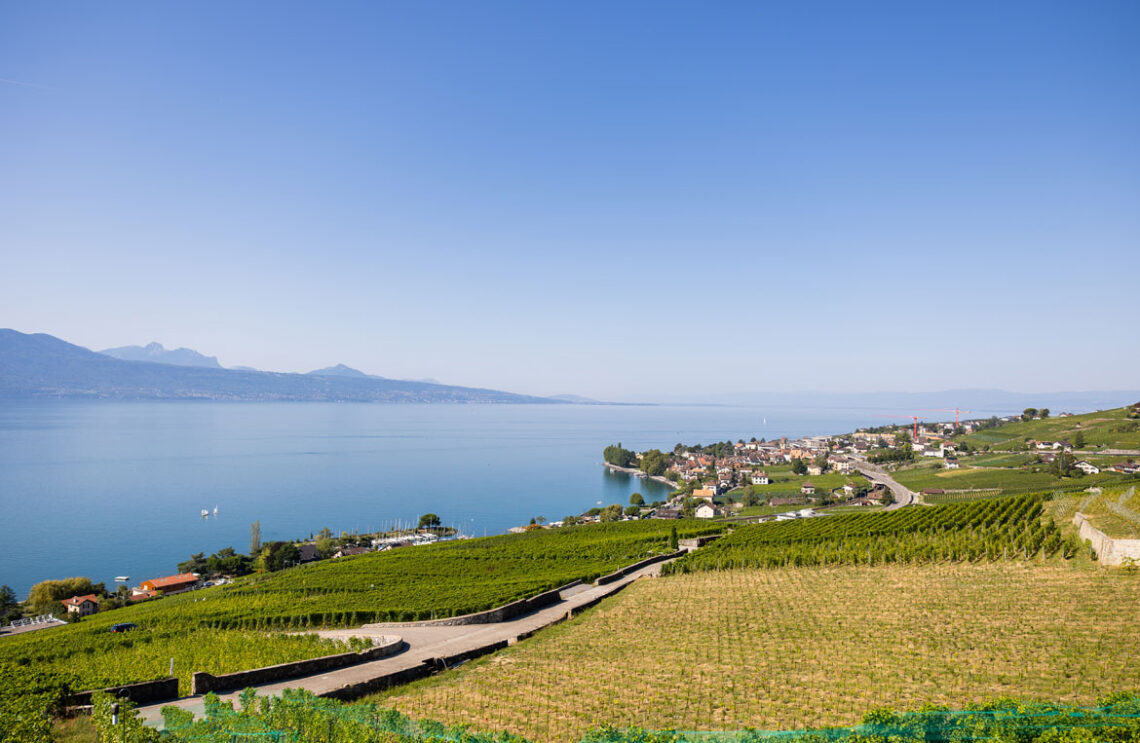 Balade À Lavaux ; Entre Grandvaux et Épesses - La Route de Ben