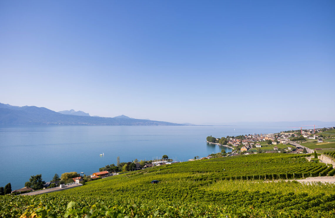 Balade À Lavaux ; Entre Grandvaux et Épesses - La Route de Ben